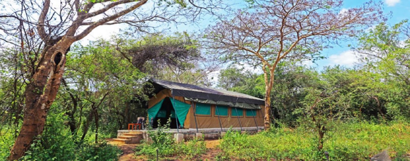 Wilpattu Safari Camp | ATOL and ABTA Protected Holidays - Authentic ... Wilpattu Safari Camp | ATOL and ABTA Protected Holidays - Authentic ...